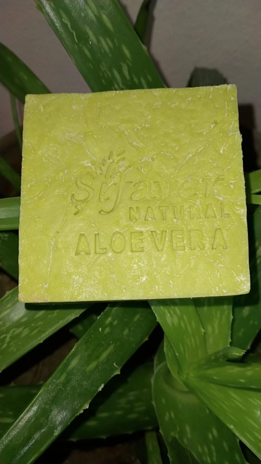 ALOE VERA ÖZLÜ SABUN – Nihal'in Bahçesi
